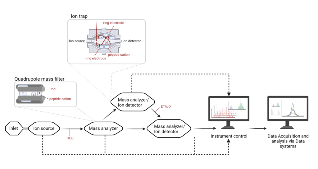 What is Protein Mass Spectrometry? - Rapid Novor