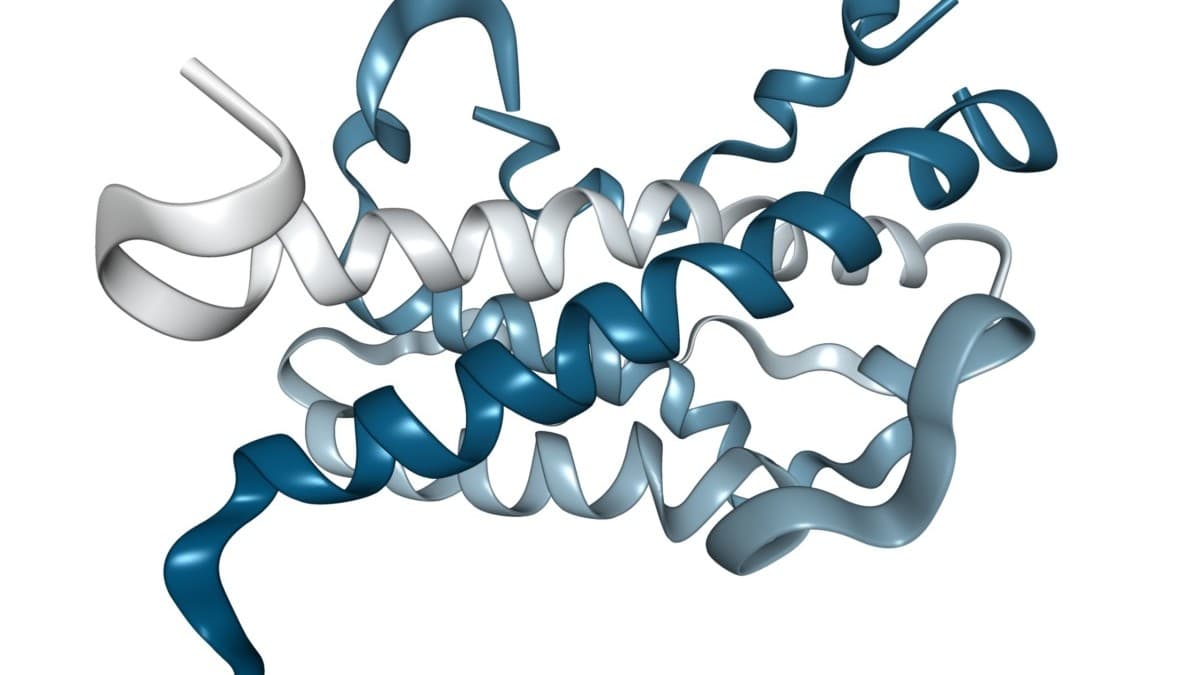 How To Determine Peptide Sequences Rapid Novor