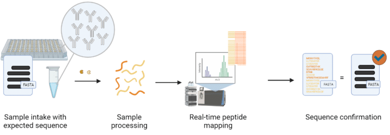 Peptide Mapping | Antibody Analysis | Sequence Confirmation