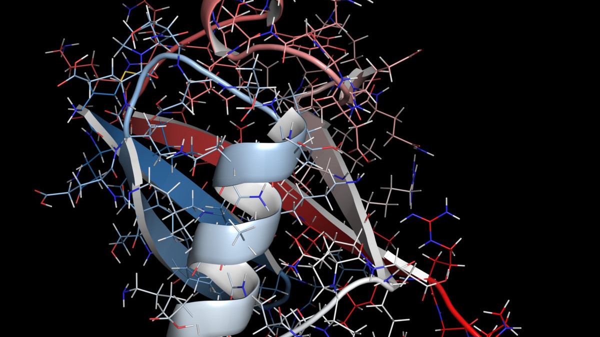 What Is Peptide Mapping Rapid Novor