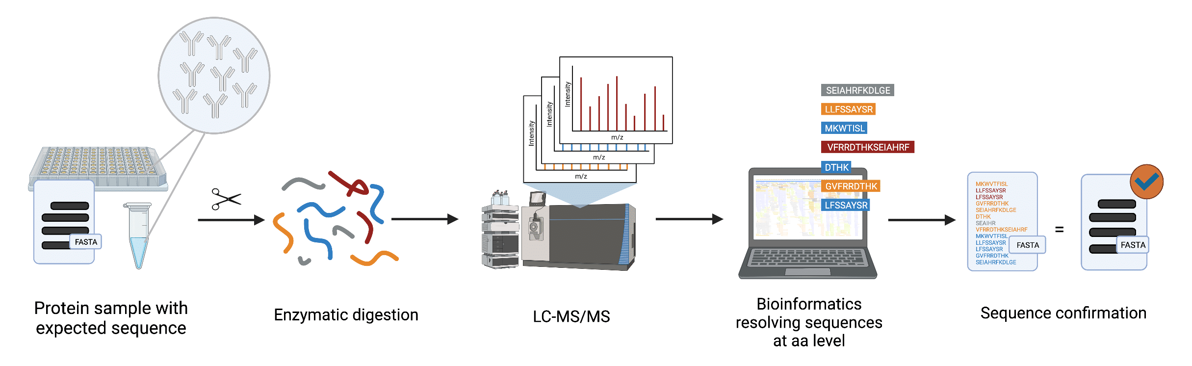 What Is Peptide Mapping Rapid Novor