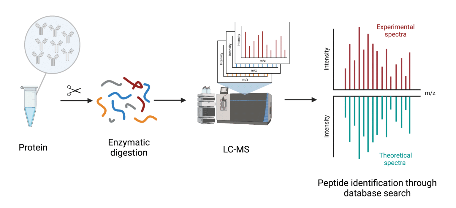 What Is Peptide Mapping Rapid Novor