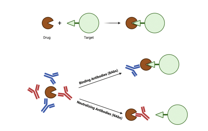 Anti-Drug Antibody Assays with Next Generation Protein Sequencing
