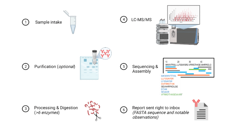 DNA Sequencing vs Next Generation Protein Sequencing - Rapid Novor