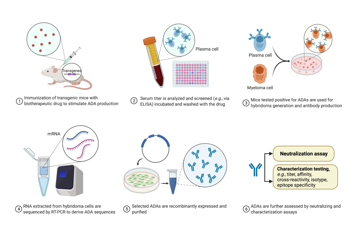 Anti-Drug Antibody Assays with Next Generation Protein Sequencing