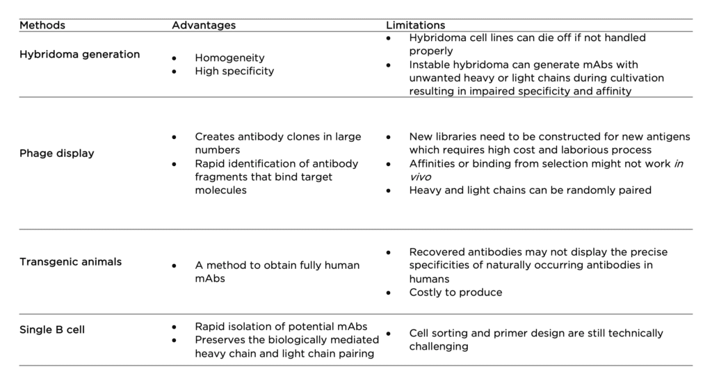 Enhanced Antibody Engineering for Development of Therapeutic Antibodies