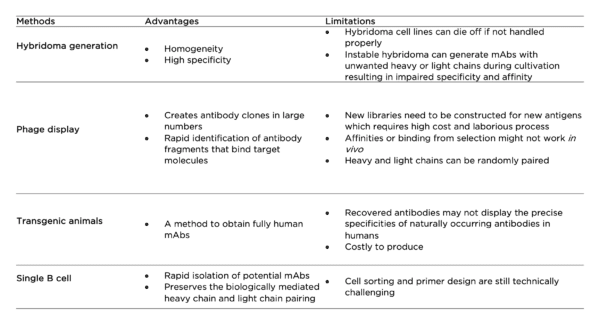 Enhanced Antibody Engineering for Development of Therapeutic Antibodies