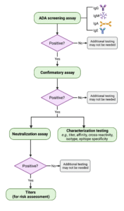 Anti-Drug Antibody Assays with Next Generation Protein Sequencing