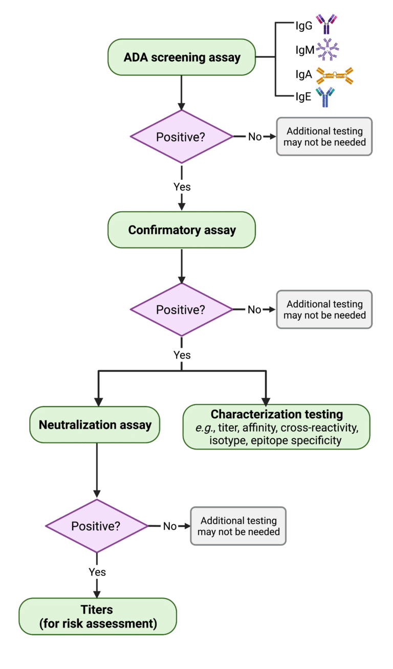 Anti-Drug Antibody Assays with Next Generation Protein Sequencing