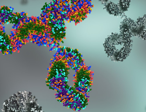 Protein Structure and How to Study it - Rapid Novor