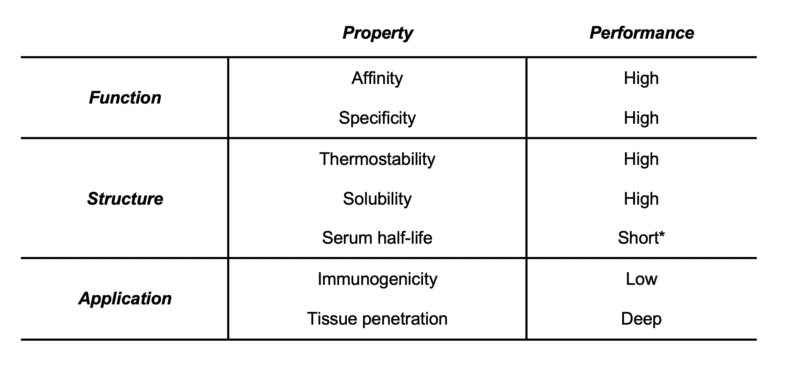 Camelid Antibodies and Nanobodies - Rapid Novor