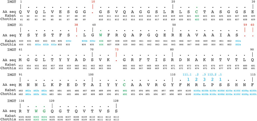 Identifying CDRs by Antibody Sequencing - Rapid Novor