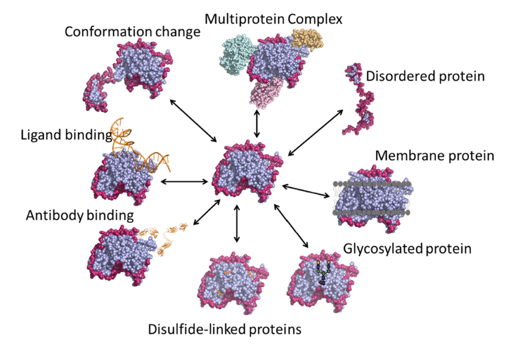 What is HDX-MS? - Rapid Novor