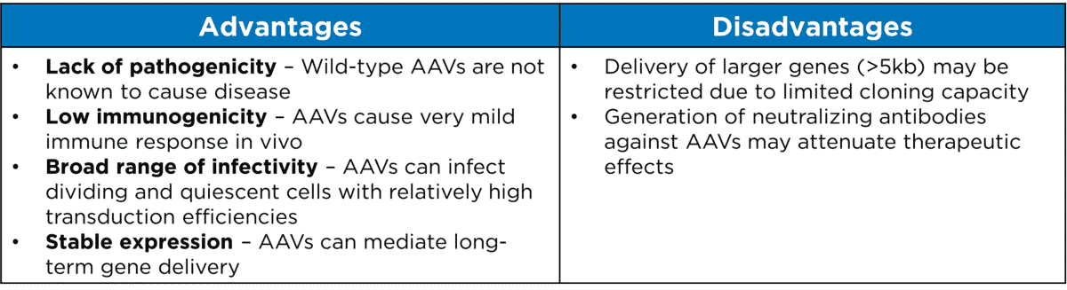 Adeno-Associated Virus Vectors for Gene Therapy Delivery - Rapid Novor