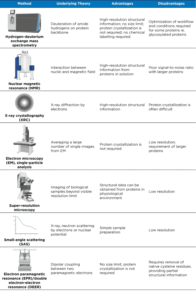 Protein Characterization by HDX-MS - Rapid Novor