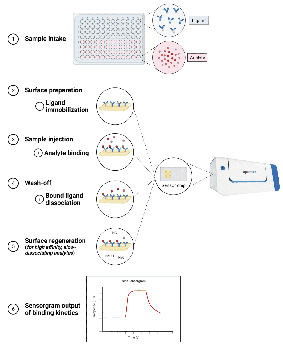Surface Plasmon Resonance Spectroscopy - Rapid Novor