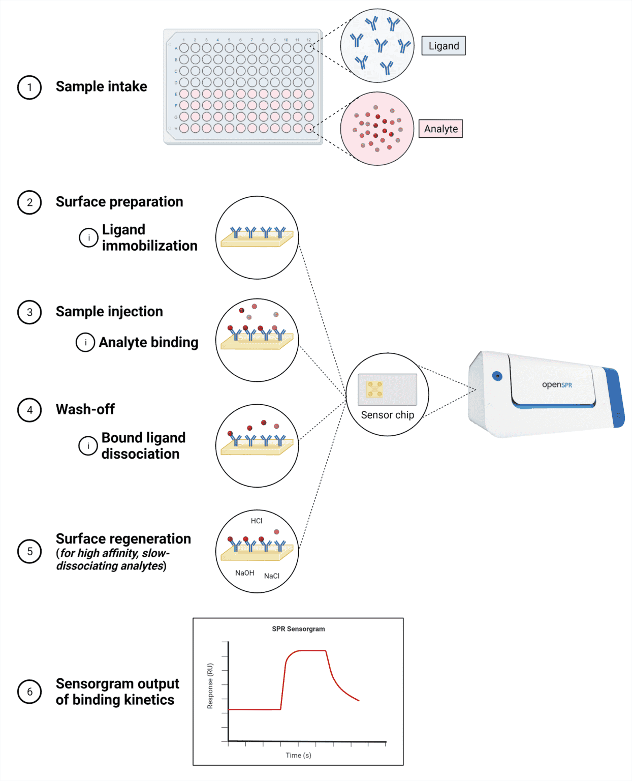 Surface Plasmon Resonance Spectroscopy - Rapid Novor