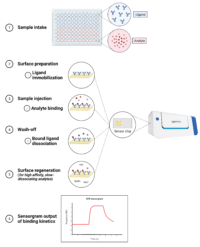 Surface Plasmon Resonance Spectroscopy - Rapid Novor