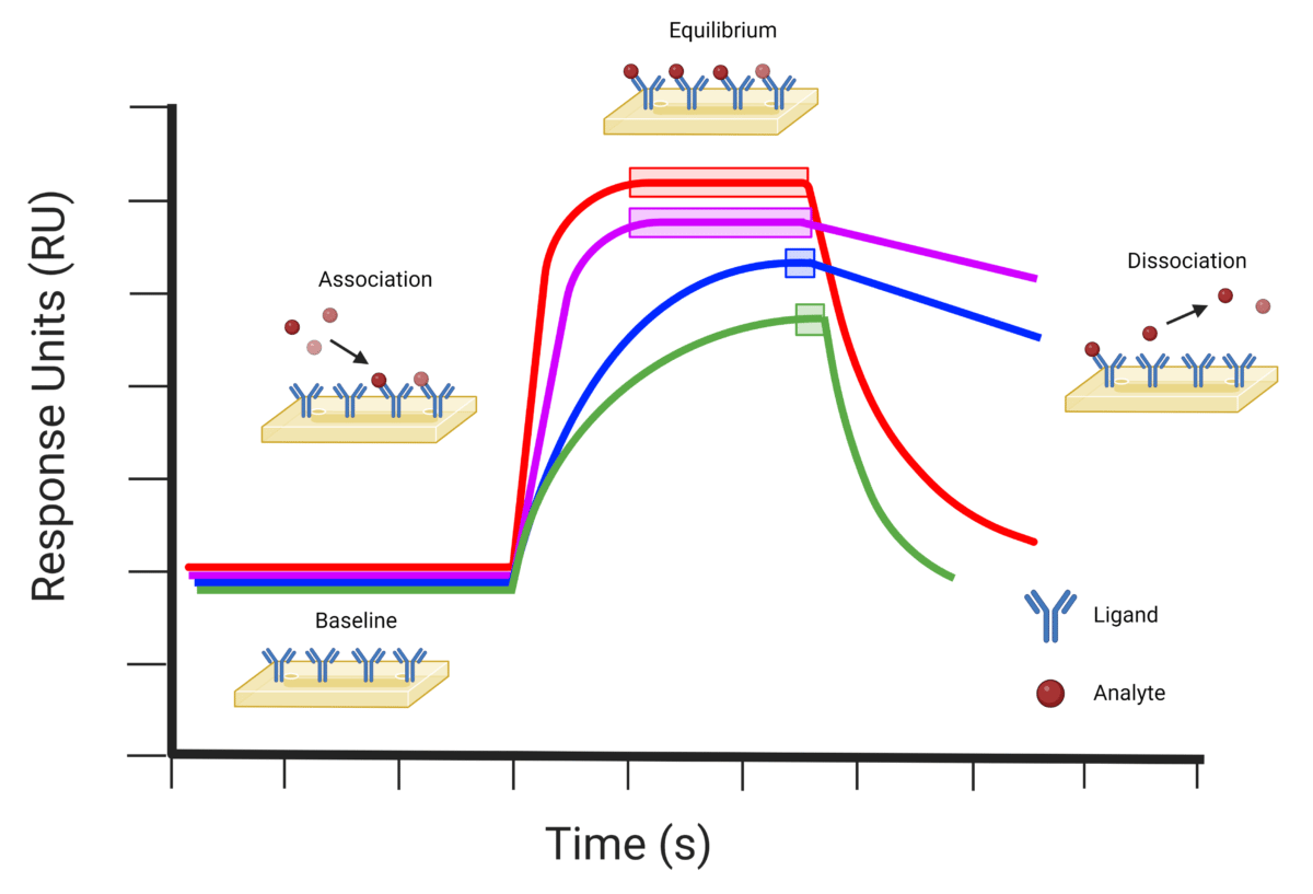 Surface Plasmon Resonance Spectroscopy - Rapid Novor