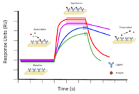 Surface Plasmon Resonance Spectroscopy - Rapid Novor