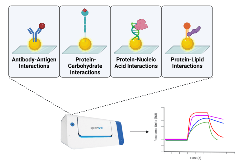SPR for Characterizing Biomolecular Interactions