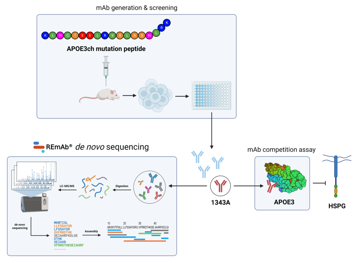 Autosomal Dominant Alzheimer’s Disease in an APOE3 Christchurch