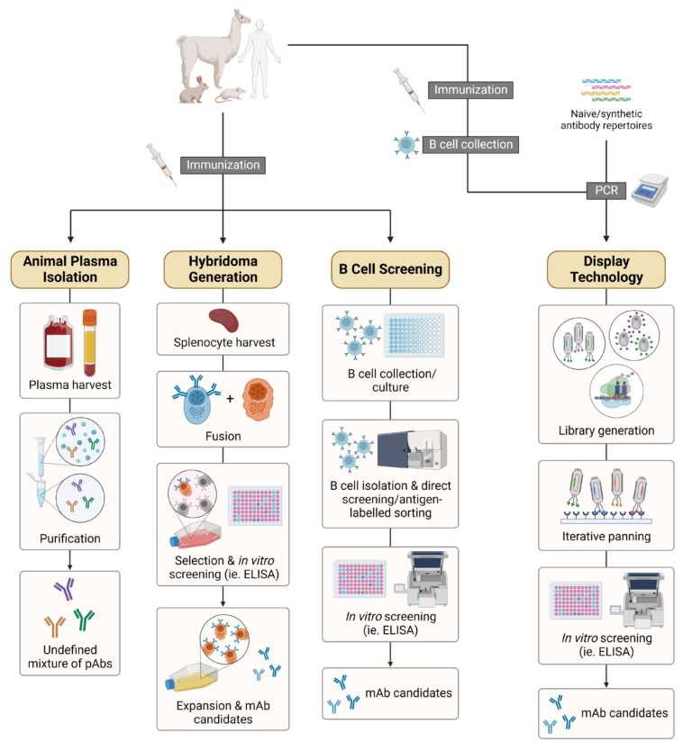 Technologies for Antibody Discovery and Generation - 2023 Report Technologies for Antibody Discovery and Generation - 2023 Report