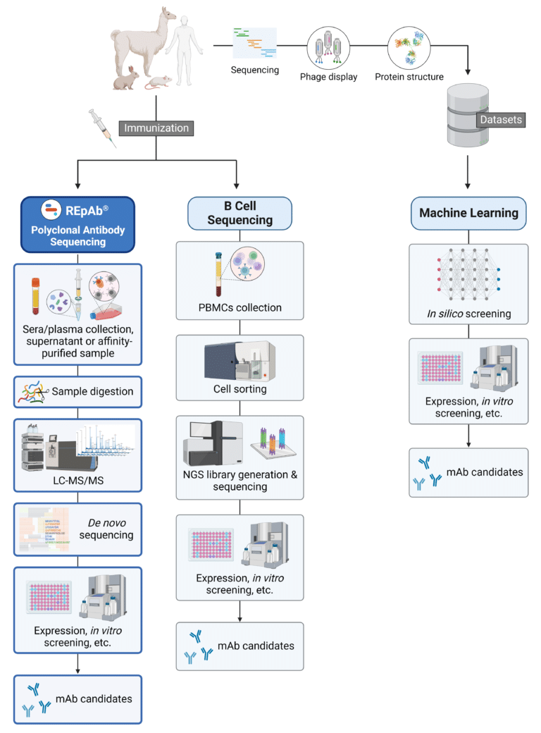 Antibody Discovery Platforms