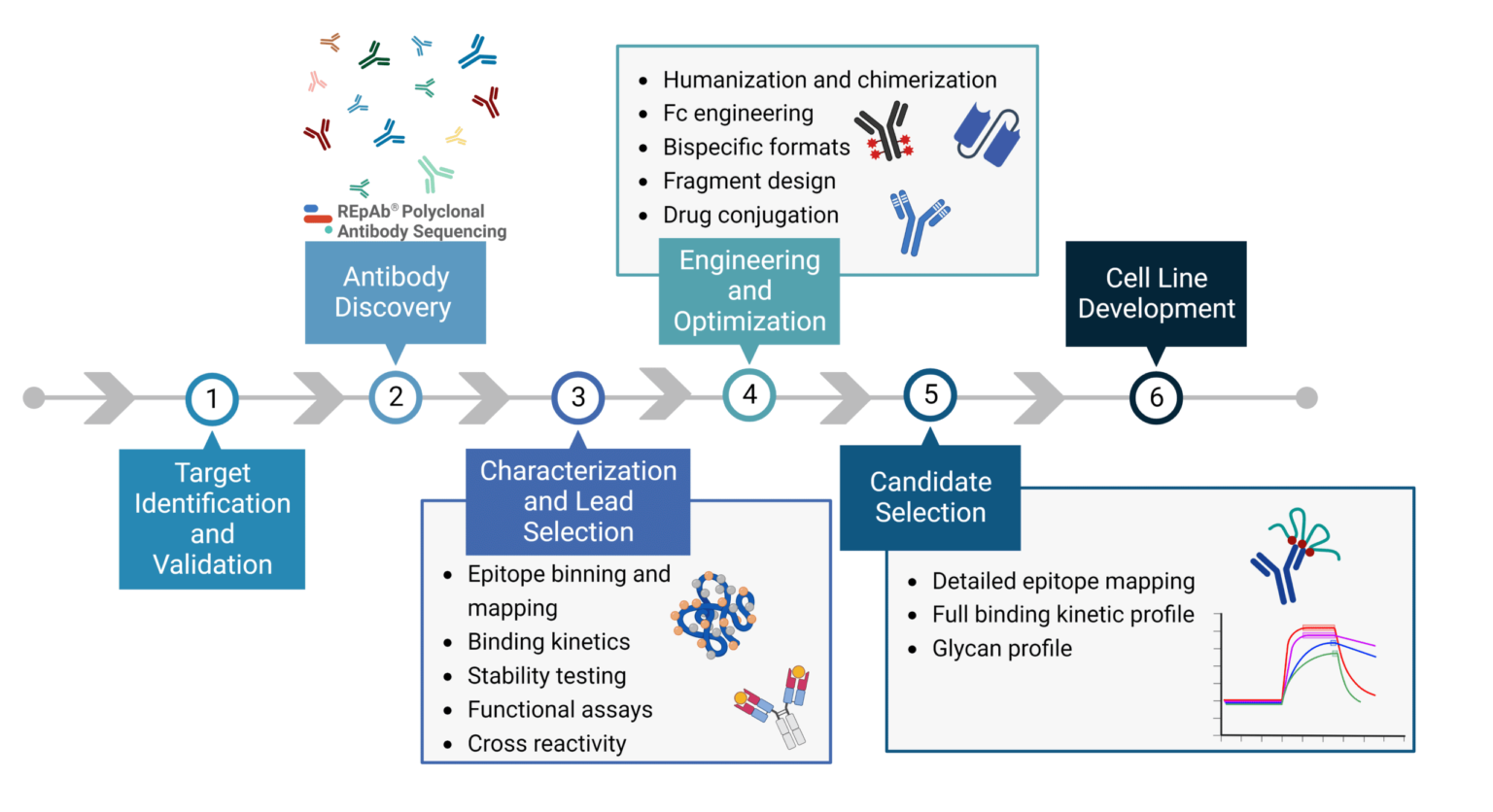 Therapeutic Antibody Discovery: From Target to Candidate Therapeutic Antibody Discovery: From Target to Candidate