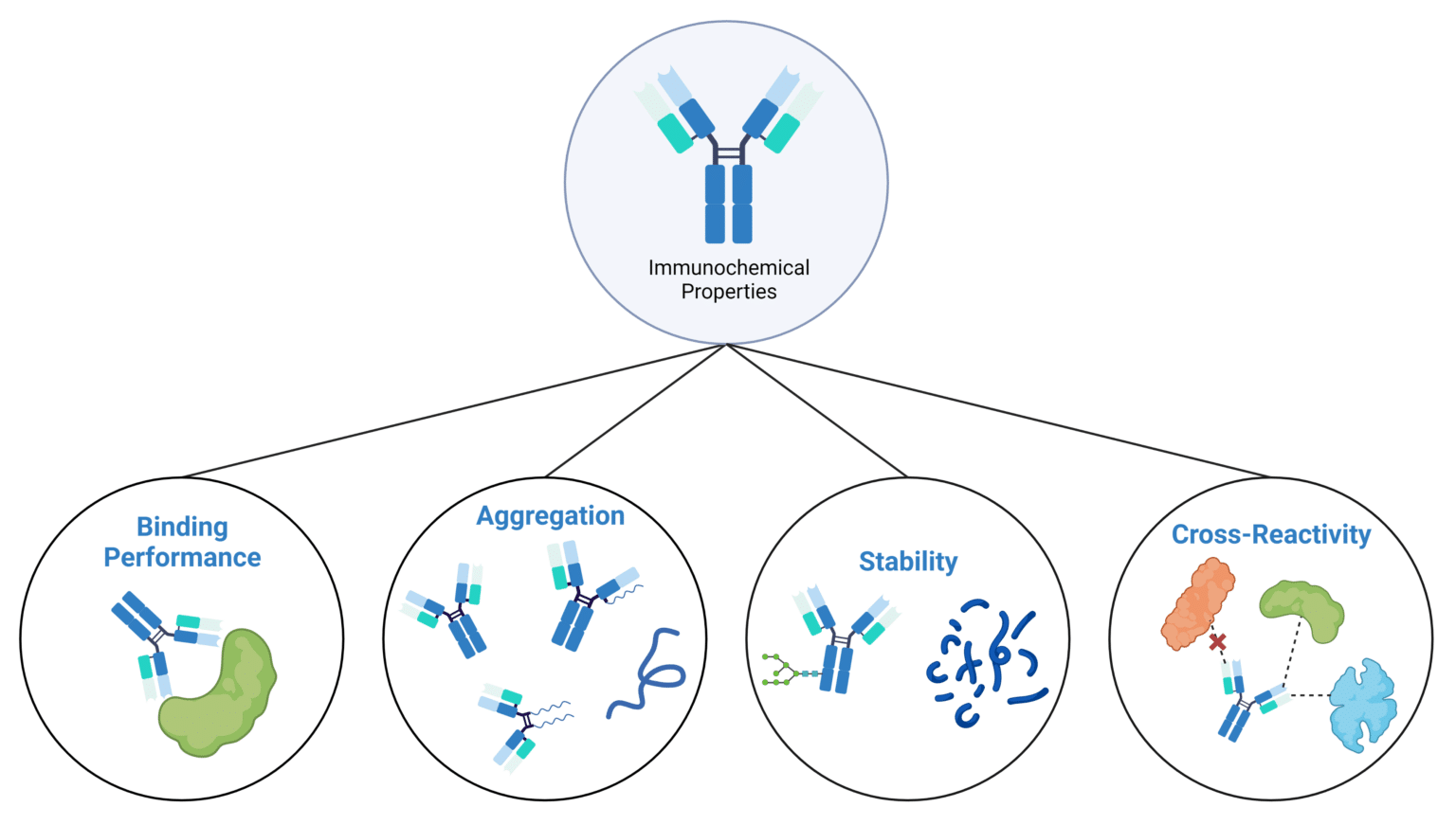 Immunochemical Characterization of Therapeutic Antibodies