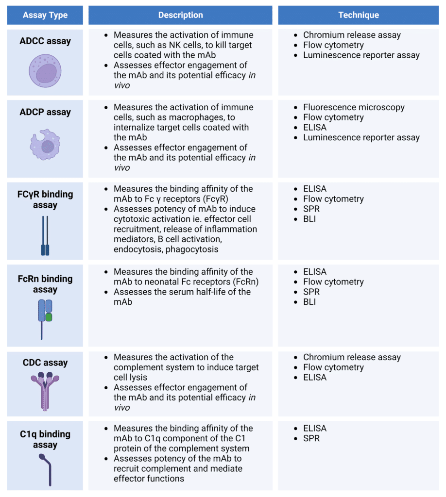 Functional Characterization of Therapeutic Antibodies