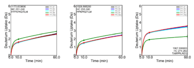 Epitope Mapping Services via HDX-MS - Rapid Novor