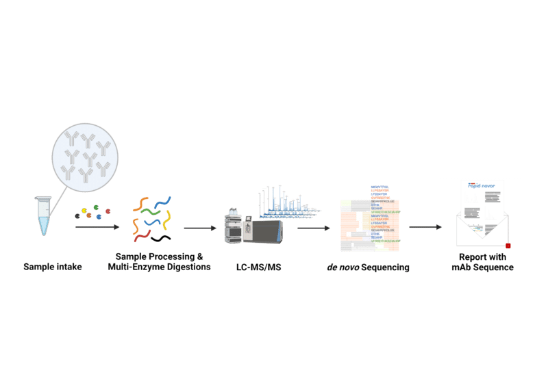 Antibody Sequencing Service - Amino Acid Sequence in 2 Weeks