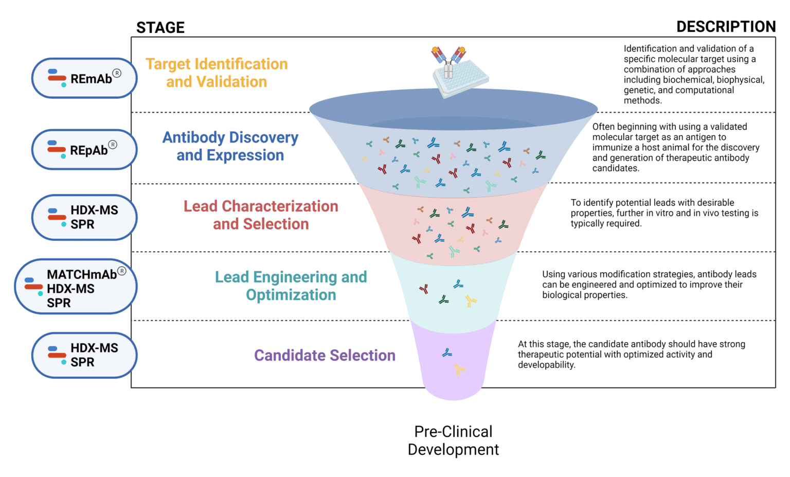 Antibody Discovery Processes