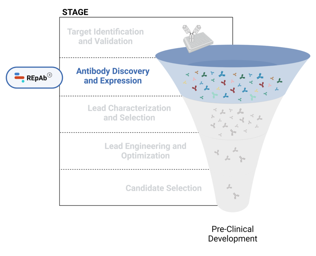 Antibody Drug Discovery - From Target ID to Candidate Selection