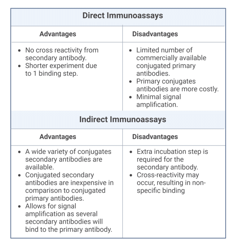 Primary and Secondary Antibodies in Immunoassays