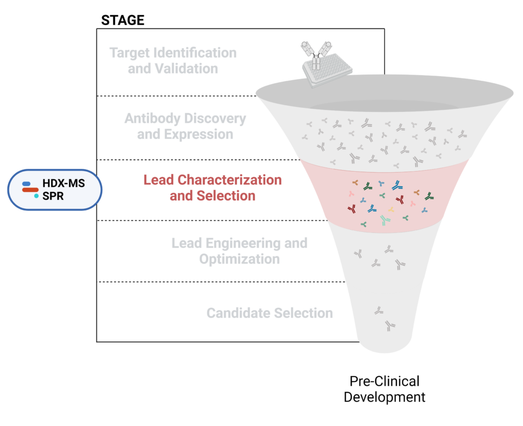 Antibody Discovery Processes