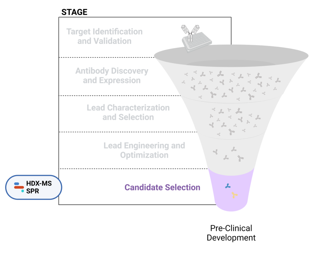 Antibody Discovery Processes