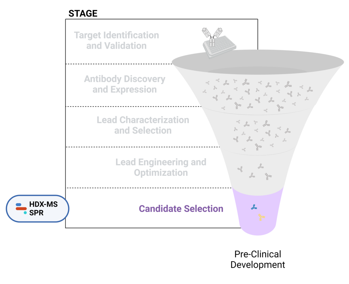Antibody Discovery Processes