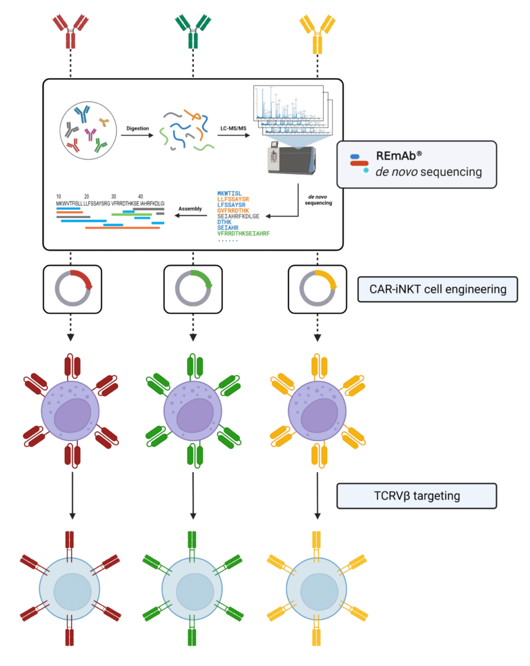 CAR-iNKT Cells Targeting Clonal TCRVβ Chains as a Precise Strategy to Treat T Cell Lymphoma