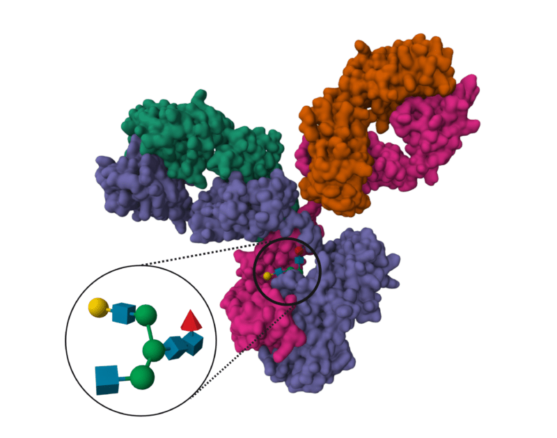 Glycan Analysis Service via LC-MS - Rapid Novor Characterization