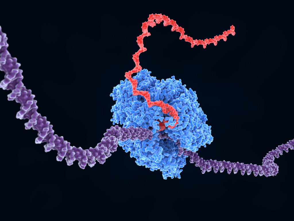 Confirm the Binding Site Between Cellular DNA Repair Proteins by HDX-MS