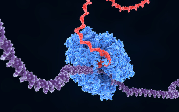 Rapid Novor Protein Characterization Technology - Learn More