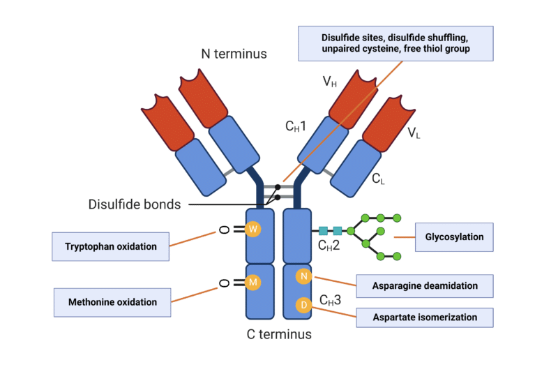 Antibody Developability - Sequence & Structure Impacts Aggregation
