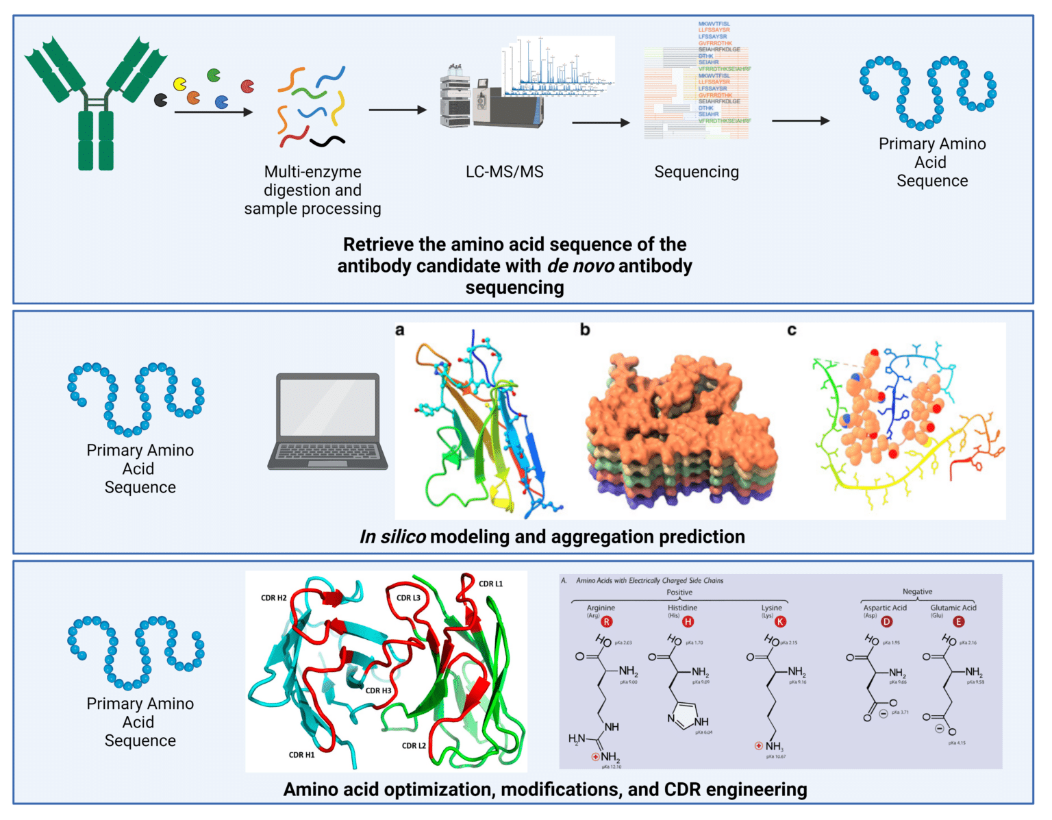 Antibody Developability - Sequence & Structure Impacts Aggregation