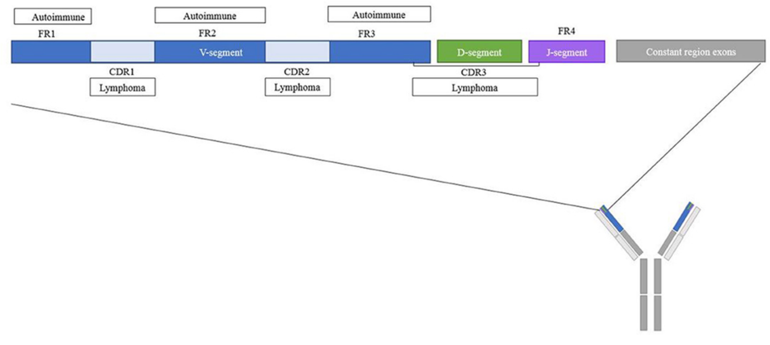 The Basics of Protein and Antibody Glycosylation - Rapid Novor