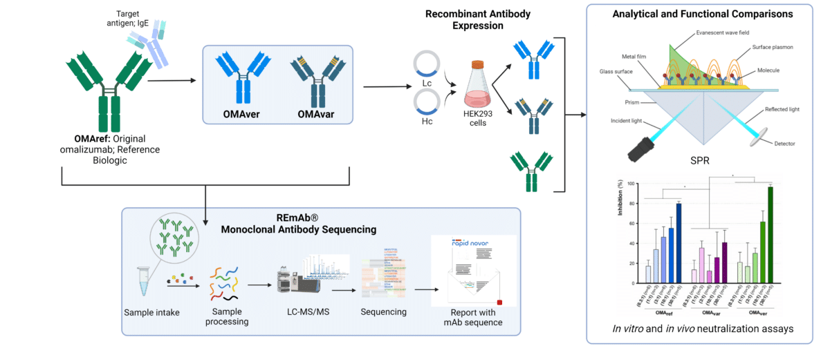 Analytical Assays for IgE Drug Binding - Omalizumab Biosimilars Assessment