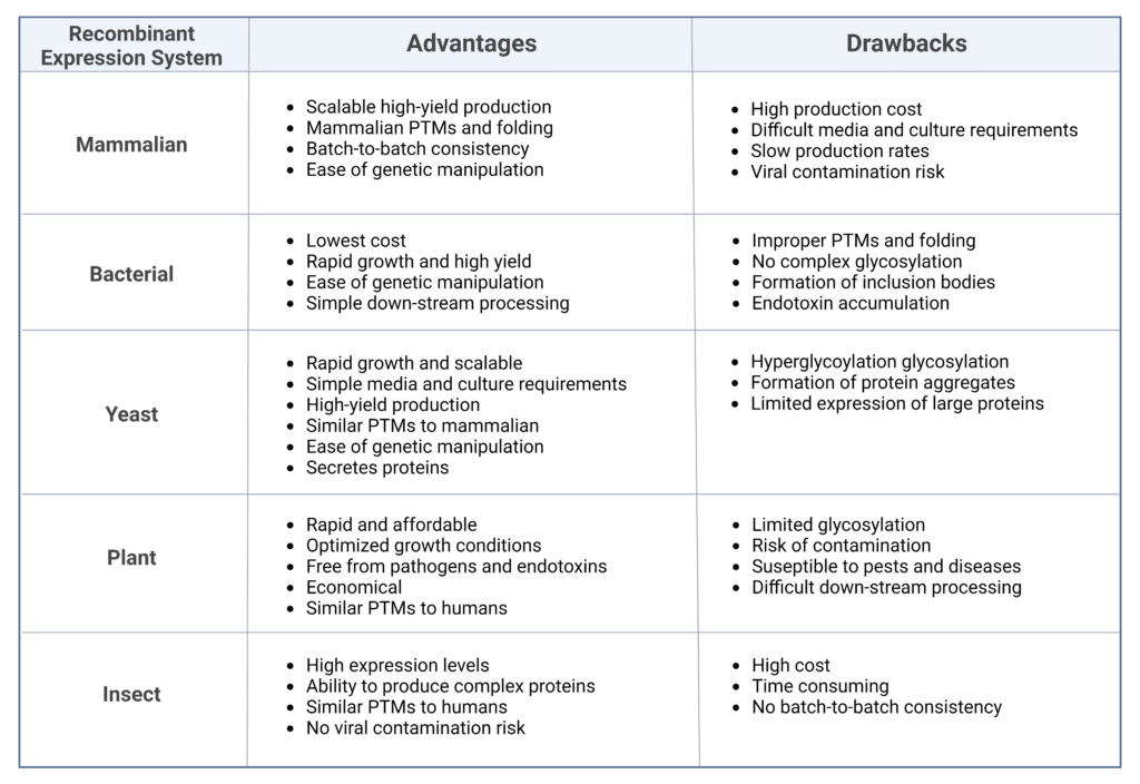 Antibody Production - Choosing a Recombinant Expression System