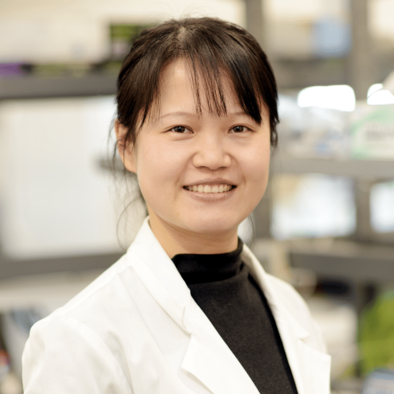 Antibody Protein Characterization Services with Mass Spectrometry Antibody Protein Characterization Services with Mass Spectrometry