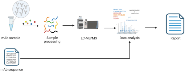 Antibody Protein Characterization Services with Mass Spectrometry Antibody Protein Characterization Services with Mass Spectrometry